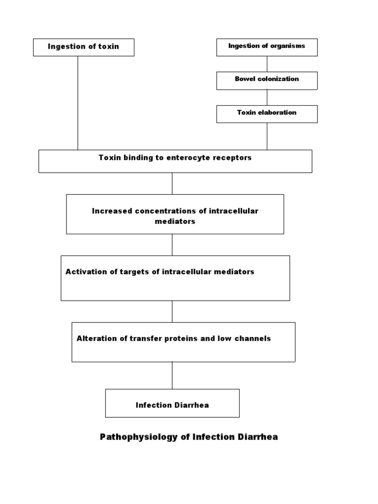 Pathophysiology of Infectious Diarrhea | PDF | Diarrhea | Escherichia Coli
