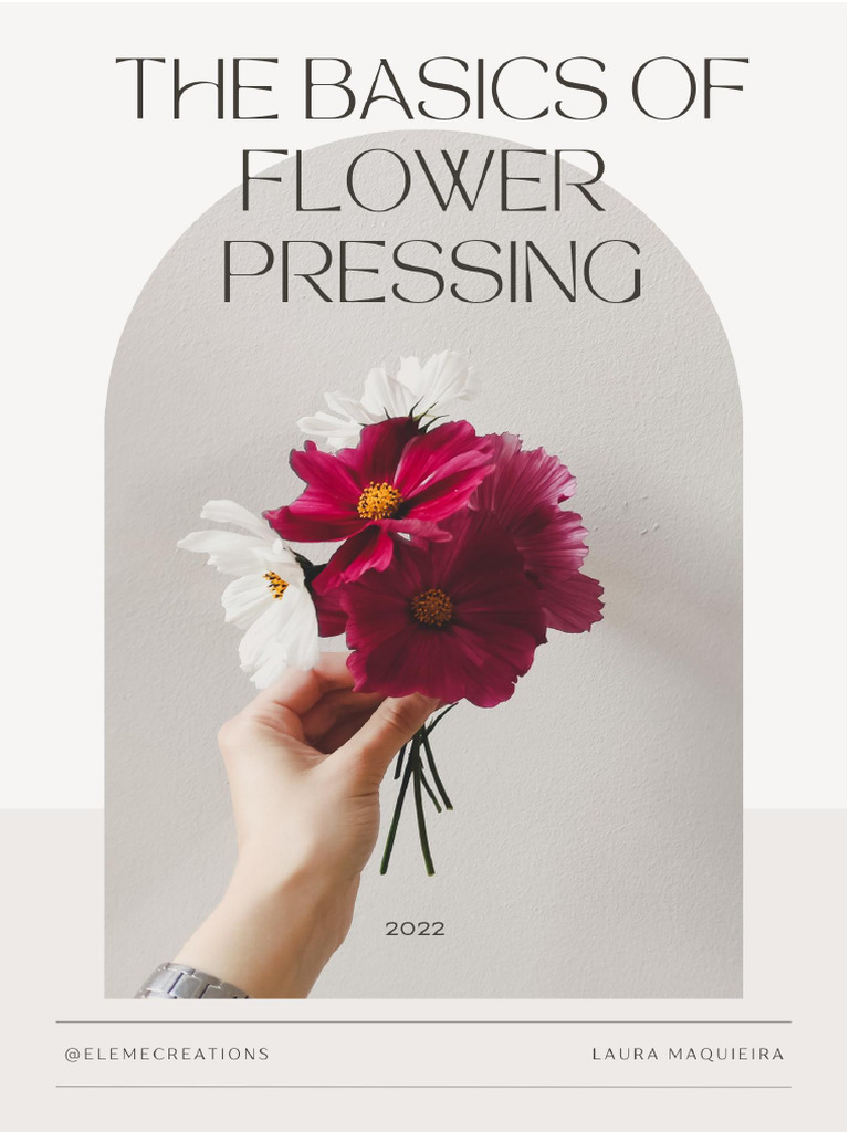 Basics To Start Pressing Flowers | PDF | Flowers | Paper