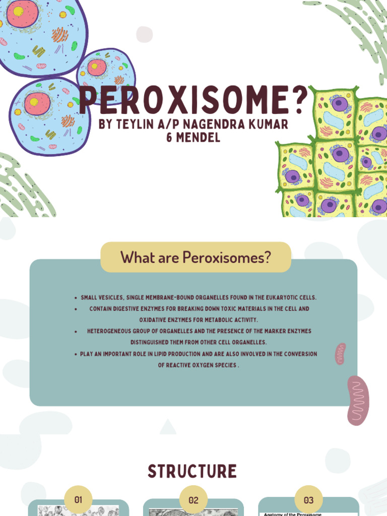 Peroxisome | PDF