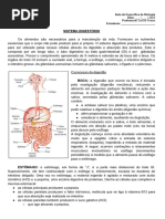 Quimo e Quilo | PDF | Digestão | Estômago