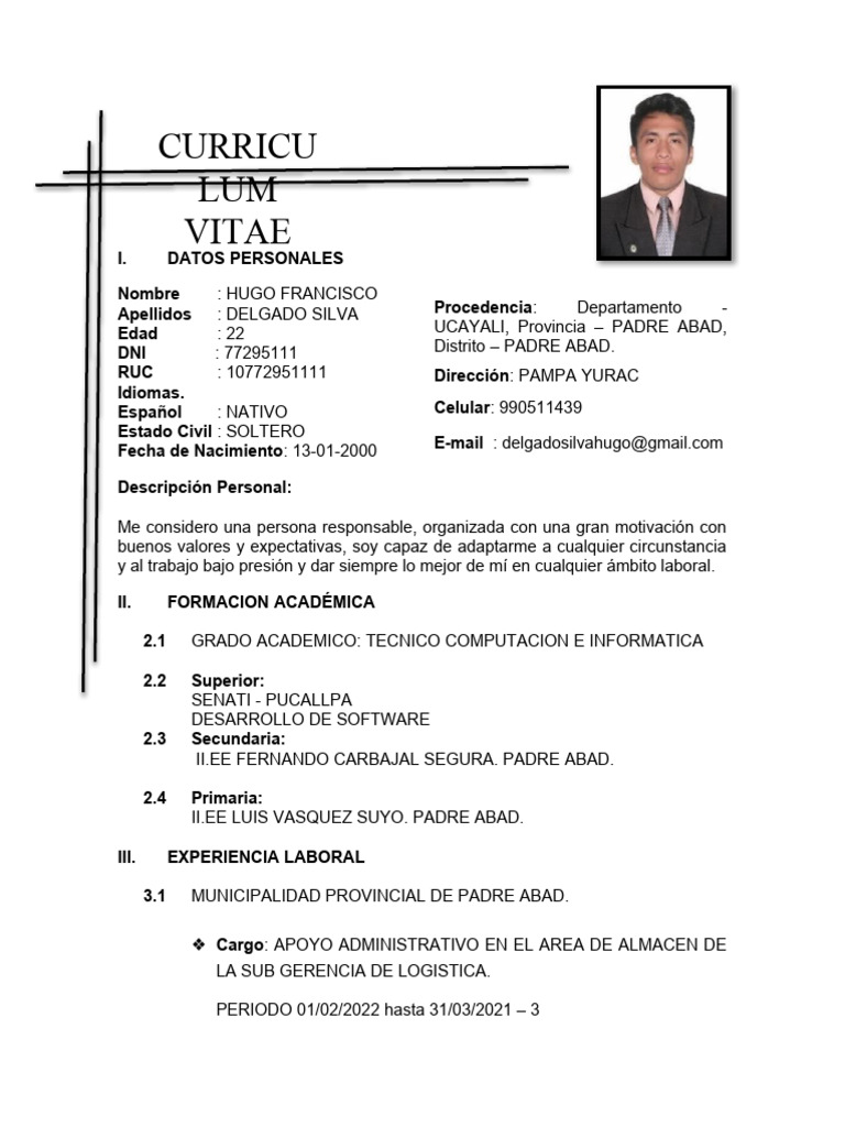 Hugo Delgado Silva: CV y Formación | PDF | Informática