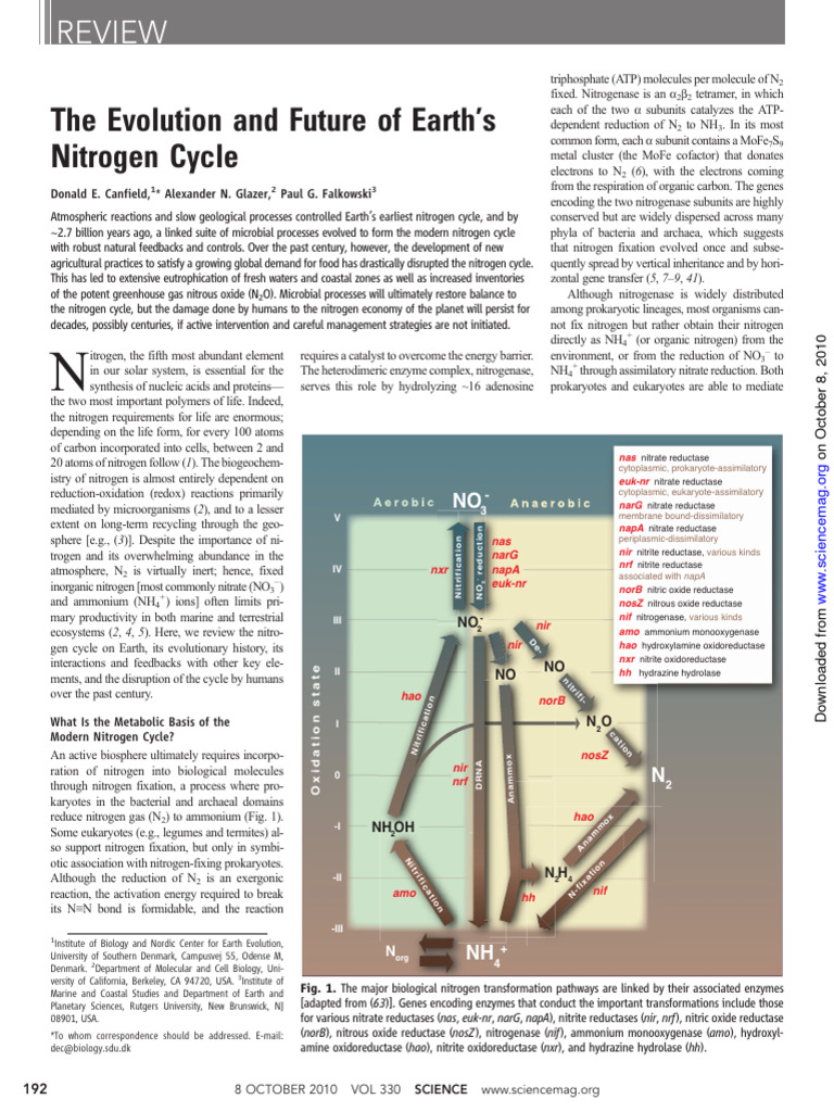 The Evolution and Future of Earth's Nitrogen Cycle - Canfield Et Al ...