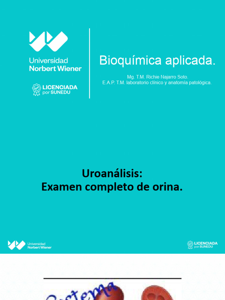 Uroanálisis Pdf Orina Especialidades Medicas
