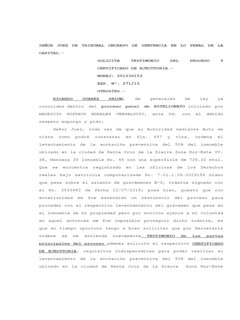 Solicitud de Testimonio y Certificado Judicial | PDF | Justicia ...