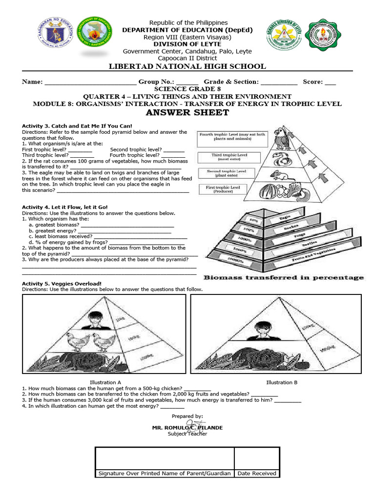 Science 8 - Quarter 4 - Module 8 - Answer Sheet - Food Pyramid | PDF | Food Web | Biomass (Ecology)