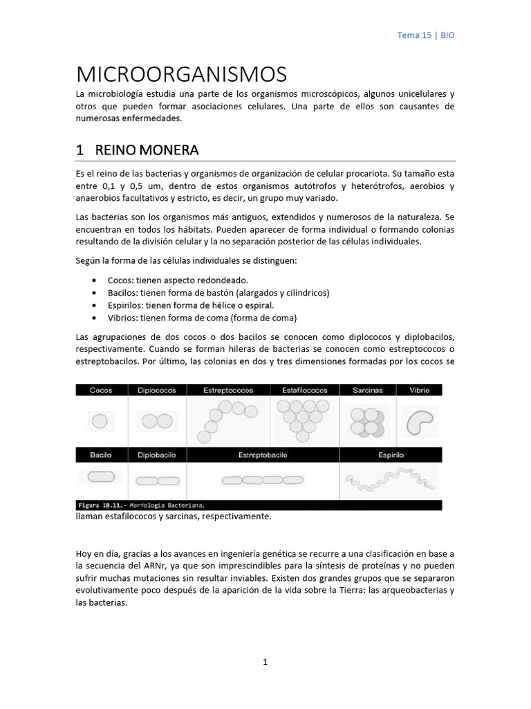 Microorganismos Pdf Las Bacterias Virus