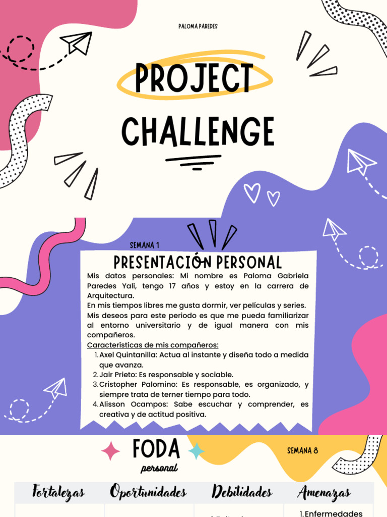 Project Challenge | PDF