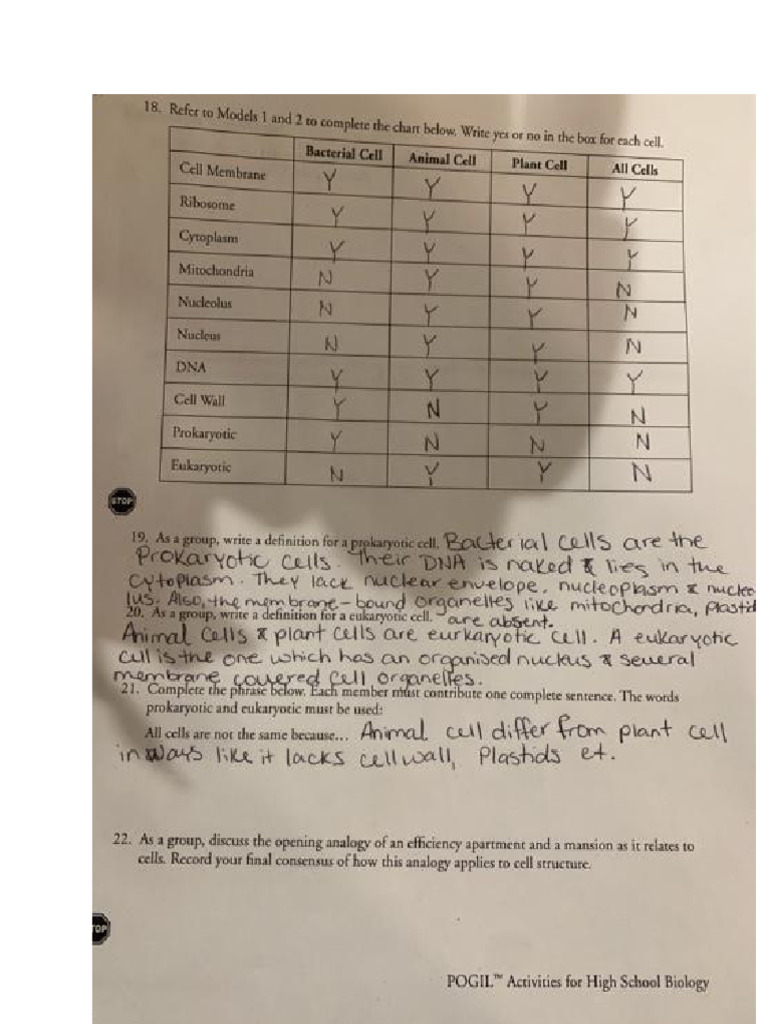 Prokaryotic and Eukaryotic Cells - POGIL | PDF