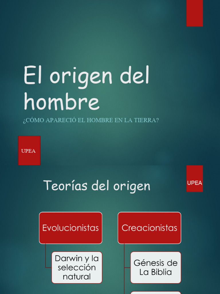 El Origen Del Hombre | PDF | Homo | Evolución humana