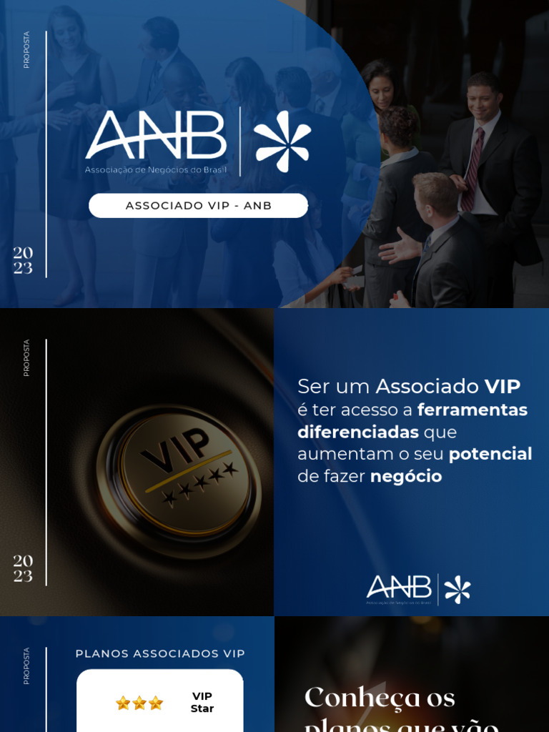 Mídia Kit - Anb Vip | PDF | Business | Economias