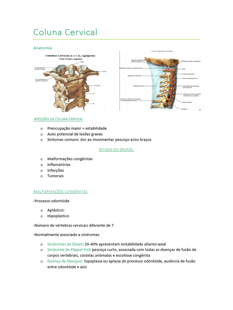 Coluna Cervical | PDF