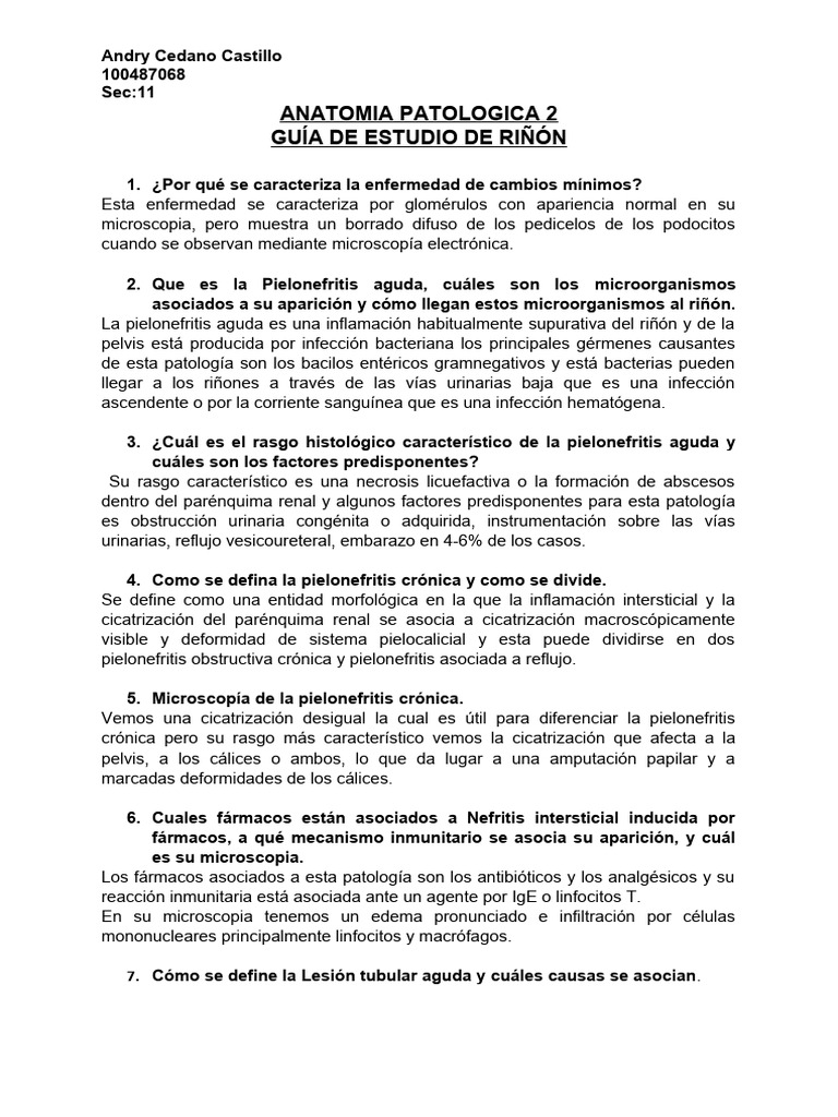 GUIA DE RINOn, Andry Cedano, Sec.11 | PDF | Riñón | Órgano (anatomía)