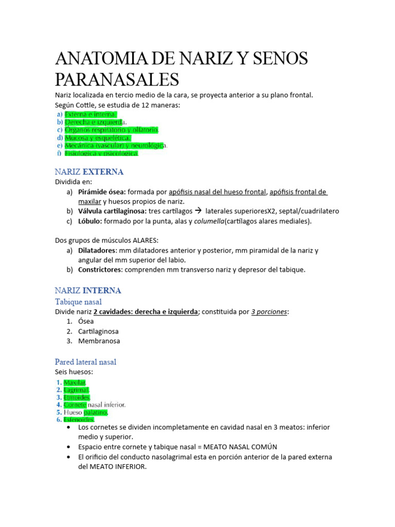 Anatomia de Nariz y Senos Paranasales | PDF | Nariz humana | Anatomía humana