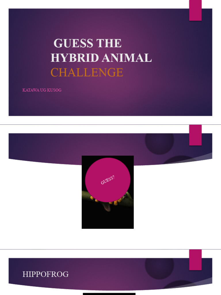Guess The Hybrid Animal Challenge | PDF