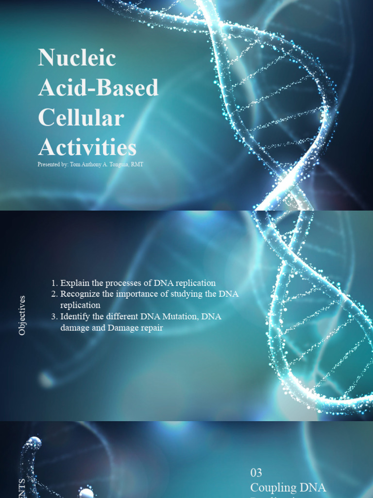 Nucleic Acid-Based Cellular Activities | PDF | Dna Replication | Dna