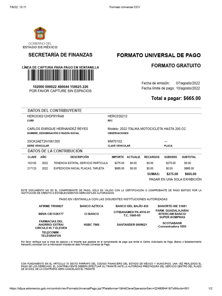 Formato Del Pago de La Placa | PDF | Bancos | Finanzas personales
