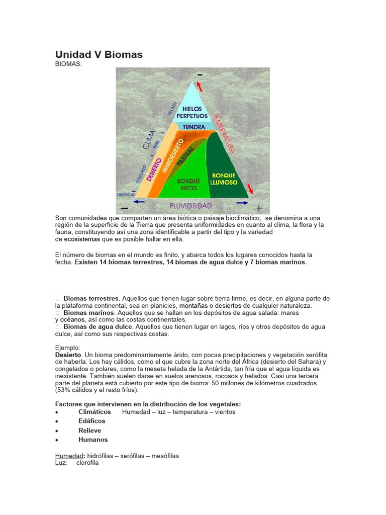 Unidad V Biomas | PDF | Selva | Ecosistema