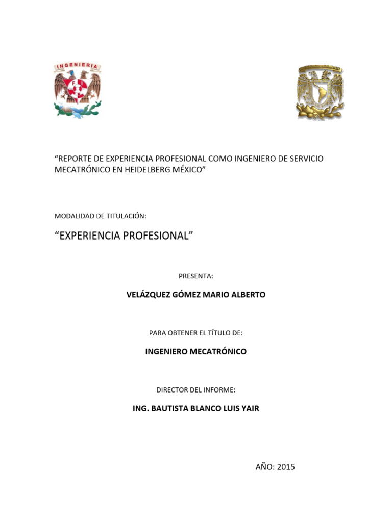 Experiencia Profesional | PDF | Impresión | Imprenta