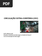 Anexo Classificacao Funcional Da New York Heart Association Nyha | PDF