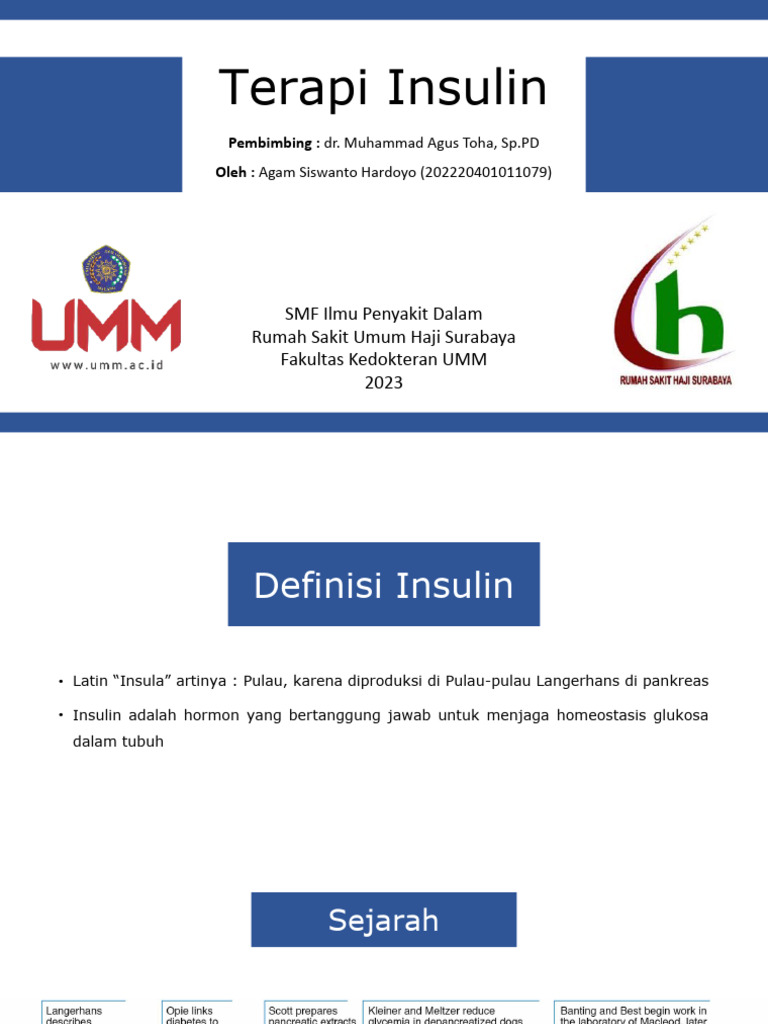 Terapi Insulin | PDF