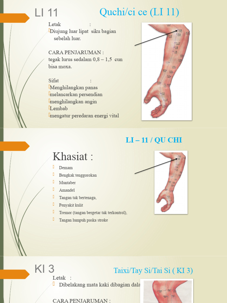 titik istimewa quchi | PDF