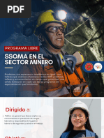 Programa SIG - GESTIÓN INTEGRAL HQSE | PDF | Business