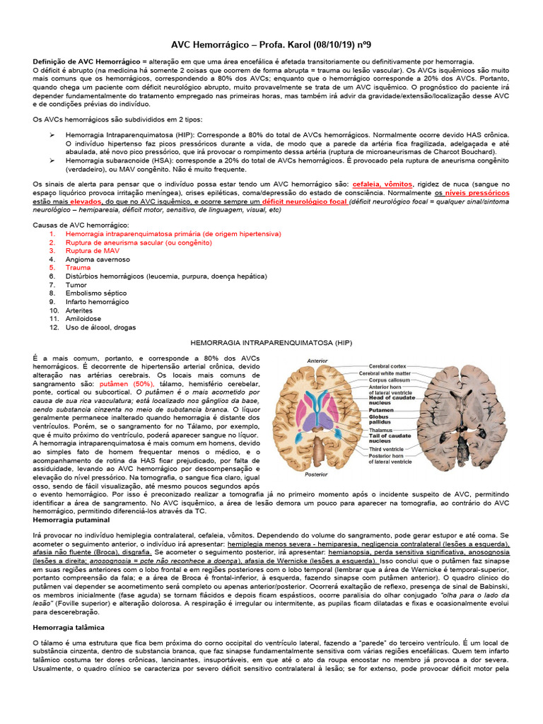 AVC Hemorrágico: Tipos e Tratamento | PDF | AVC | Sistema visual