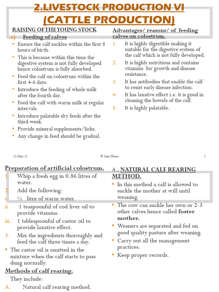 Cattle Production. | PDF | Milk | Weaning