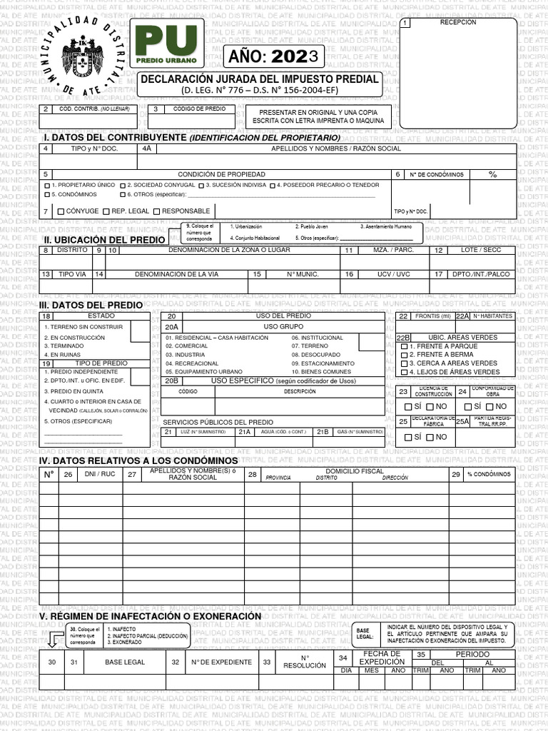 2022 Formato Pu | PDF