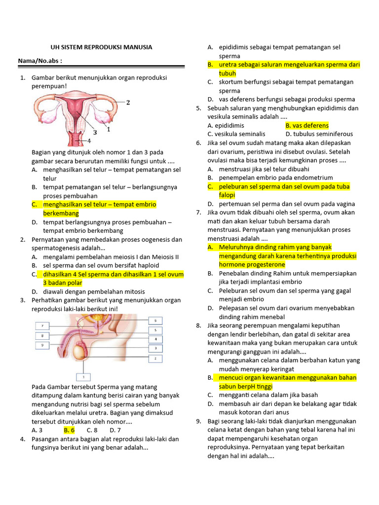 Uh Sistem Reproduksi Manusia | PDF