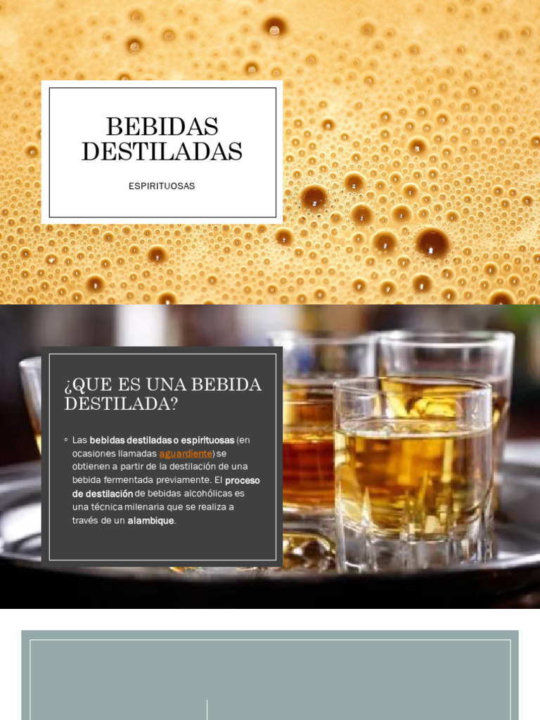 Bebidas Destiladas | PDF
