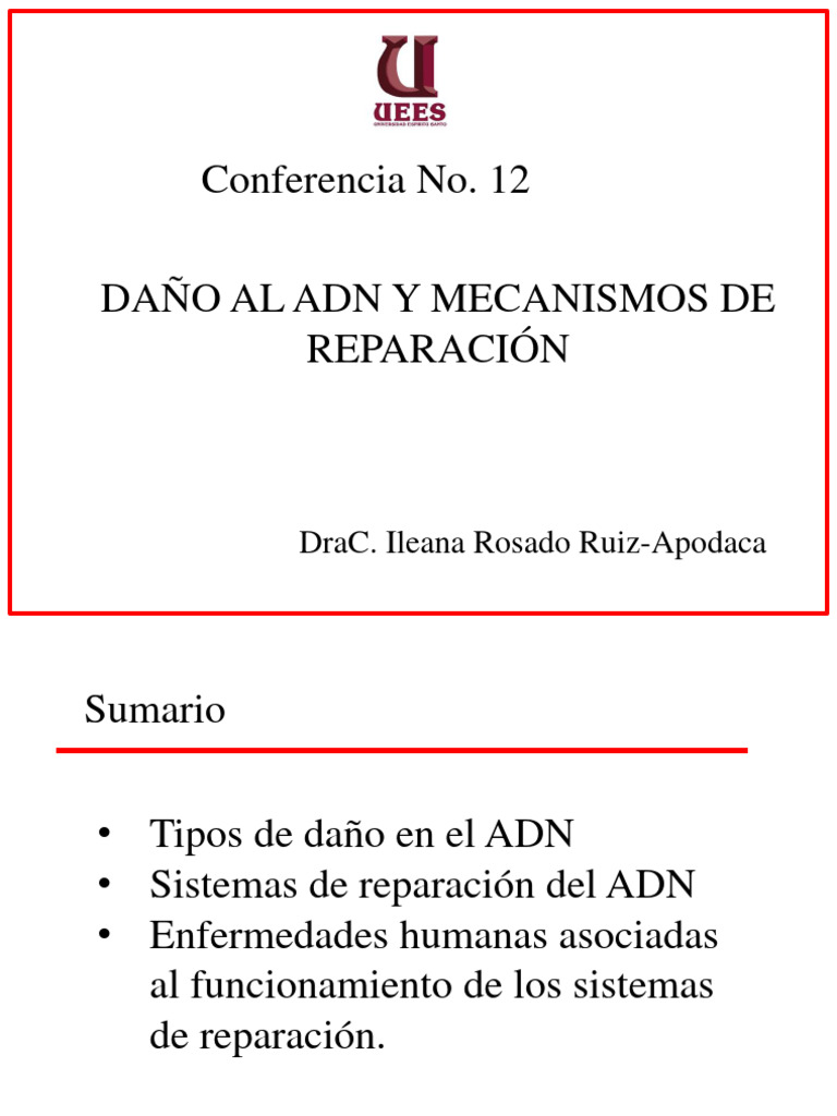 Conferencia 10 Daño Al Adn y Mecanismos de Reparación | PDF | Reparación de adn | P53