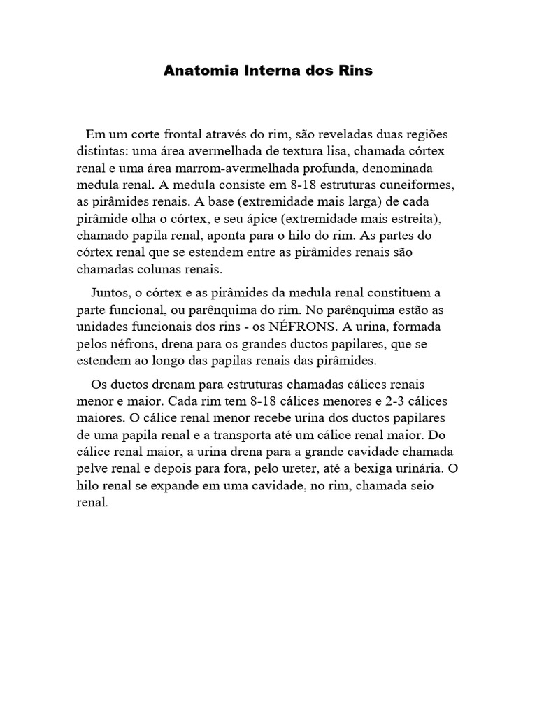 Anatomia Interna Dos Rins 1 | PDF | Ciências Sociais