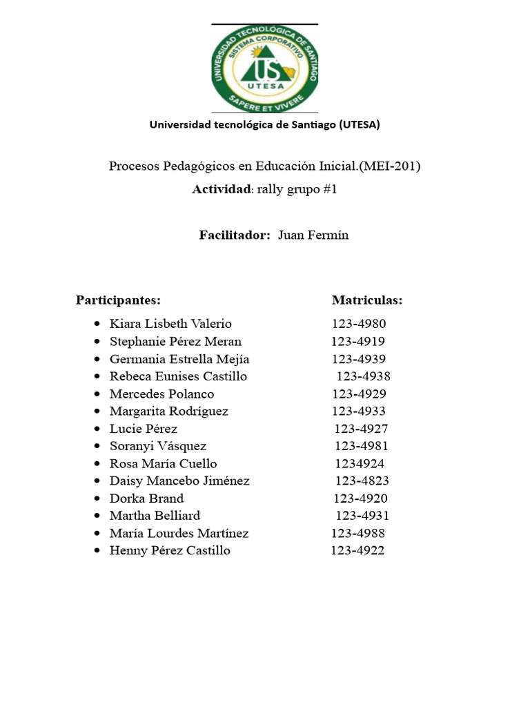 Rally Trabajo Grupal | PDF | Aprendizaje | Plan de estudios