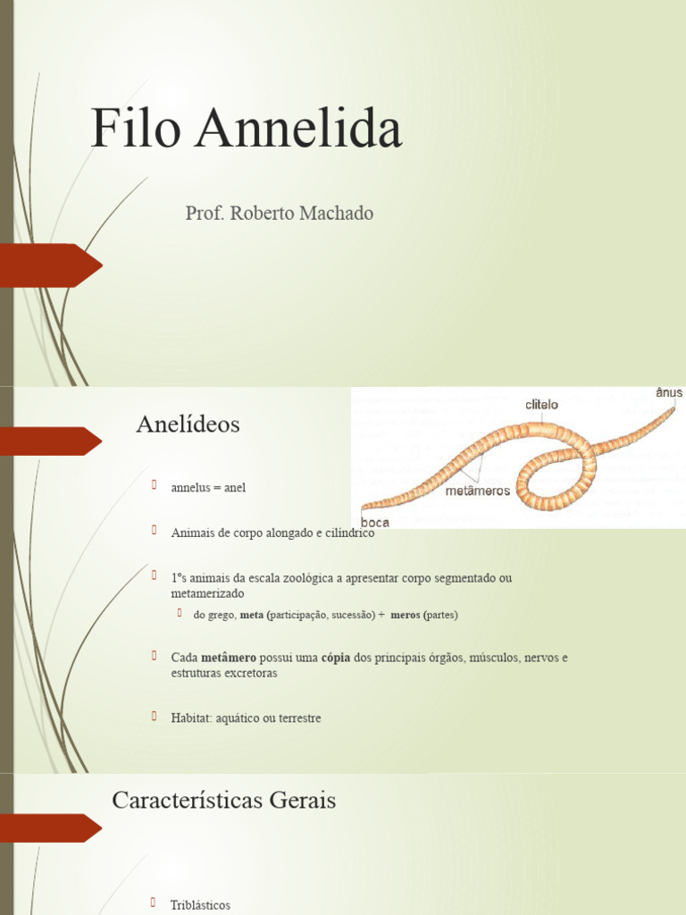 Características e Classificação dos Anelídeos | PDF | Ciências e Matemática
