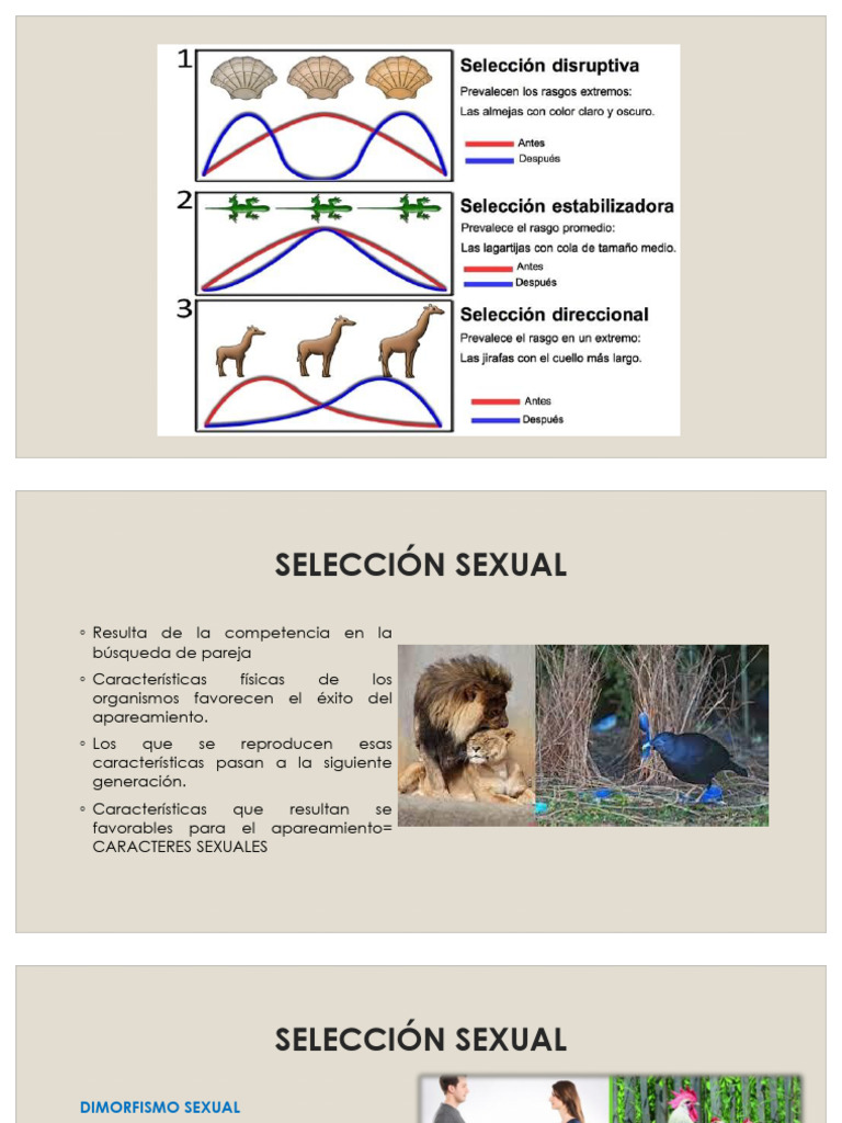 Seleccion Sexual | PDF