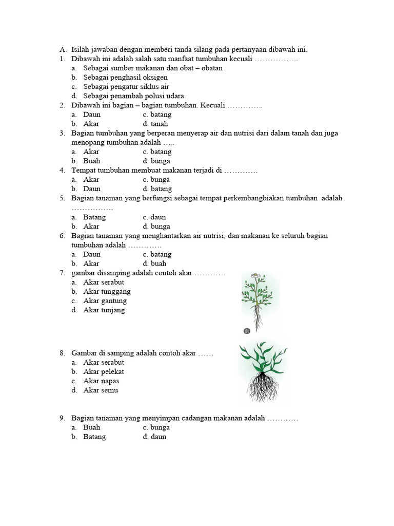 Soal Ipas Tumbuhan Bab 1 | PDF | Griya & Taman