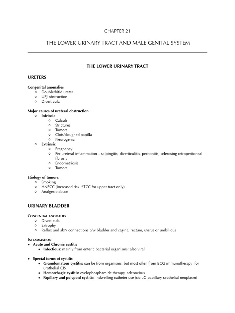 Chapter 21 - The Lower Urinary Tract and Male Genital System | PDF ...