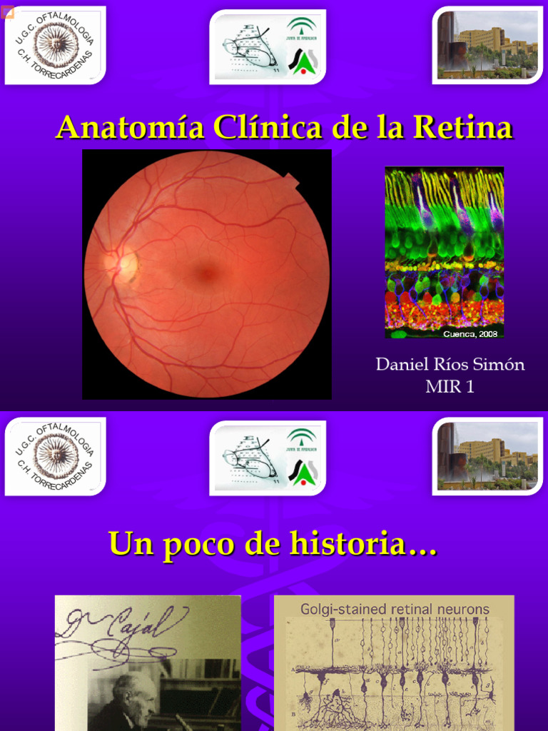 049 Anatomía Clínica de La Retina - DRS | PDF | Percepción visual | Retina