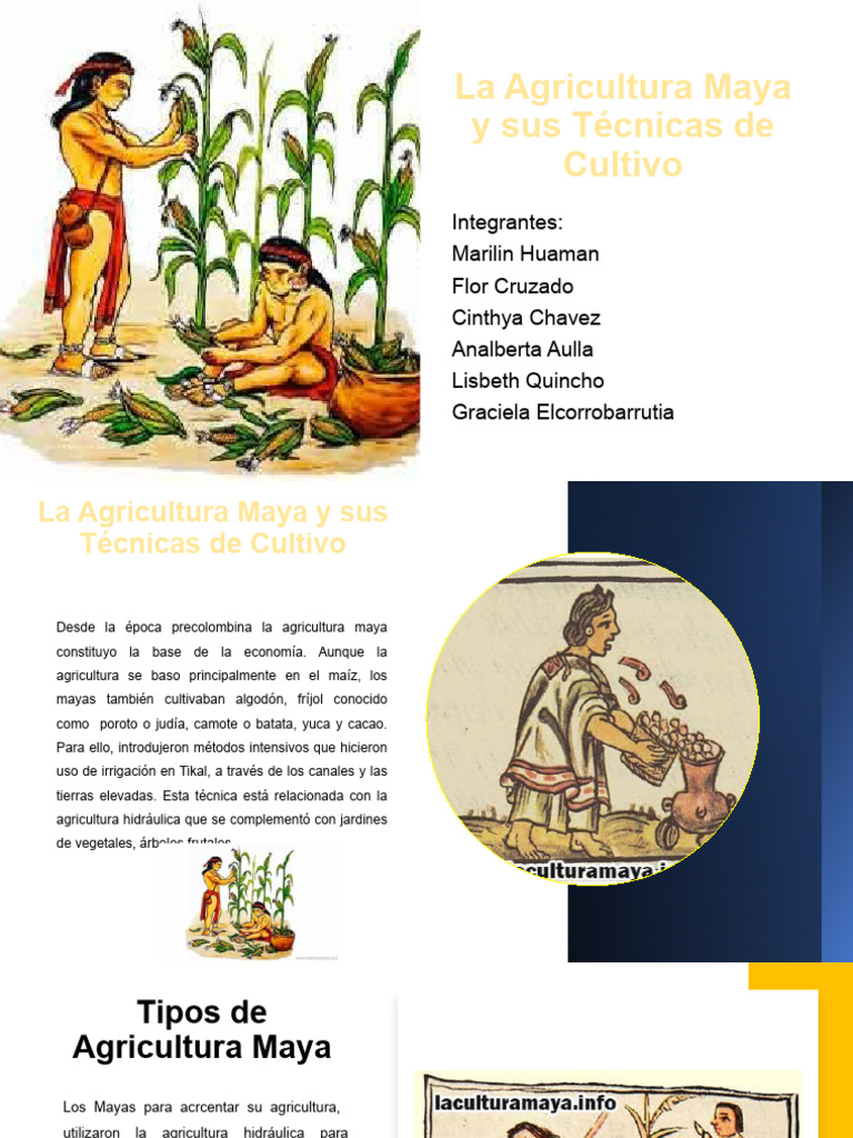 La Agricultura Maya | PDF | Agricultura | Maíz