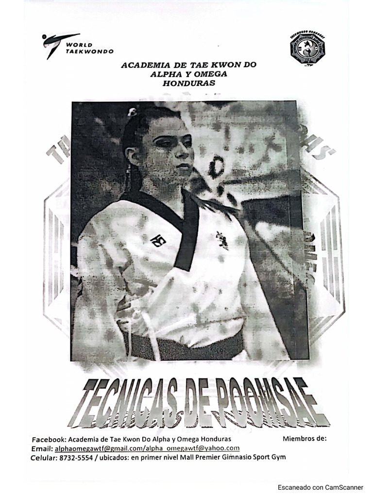 Guía de Técnicas de Poomsae | PDF