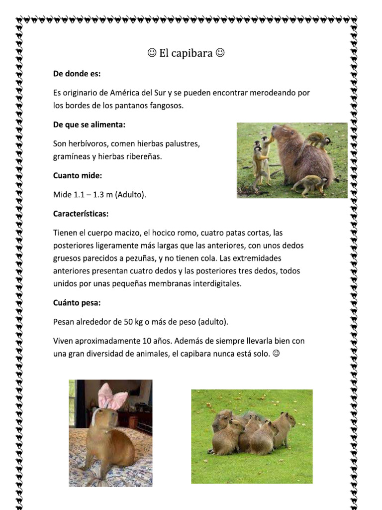 El Capibara | PDF