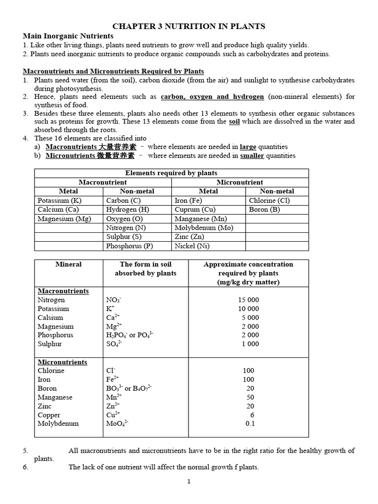 Chapter 3 Nutrition in Plants (Biology SPM) | PDF | Plant Nutrition | Nutrients