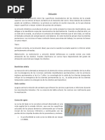 Curva de Spee y Wilson | PDF | Ortodoncia | Odontología