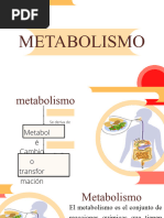 Zimogenos o Proenzimas | PDF | Salud y bienestar