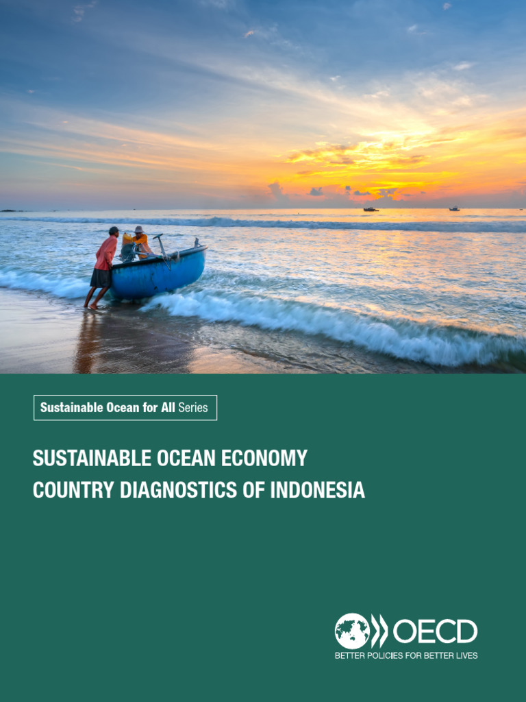 Sustainable Ocean Country Diagnostics Indonesia | PDF | Sustainability ...