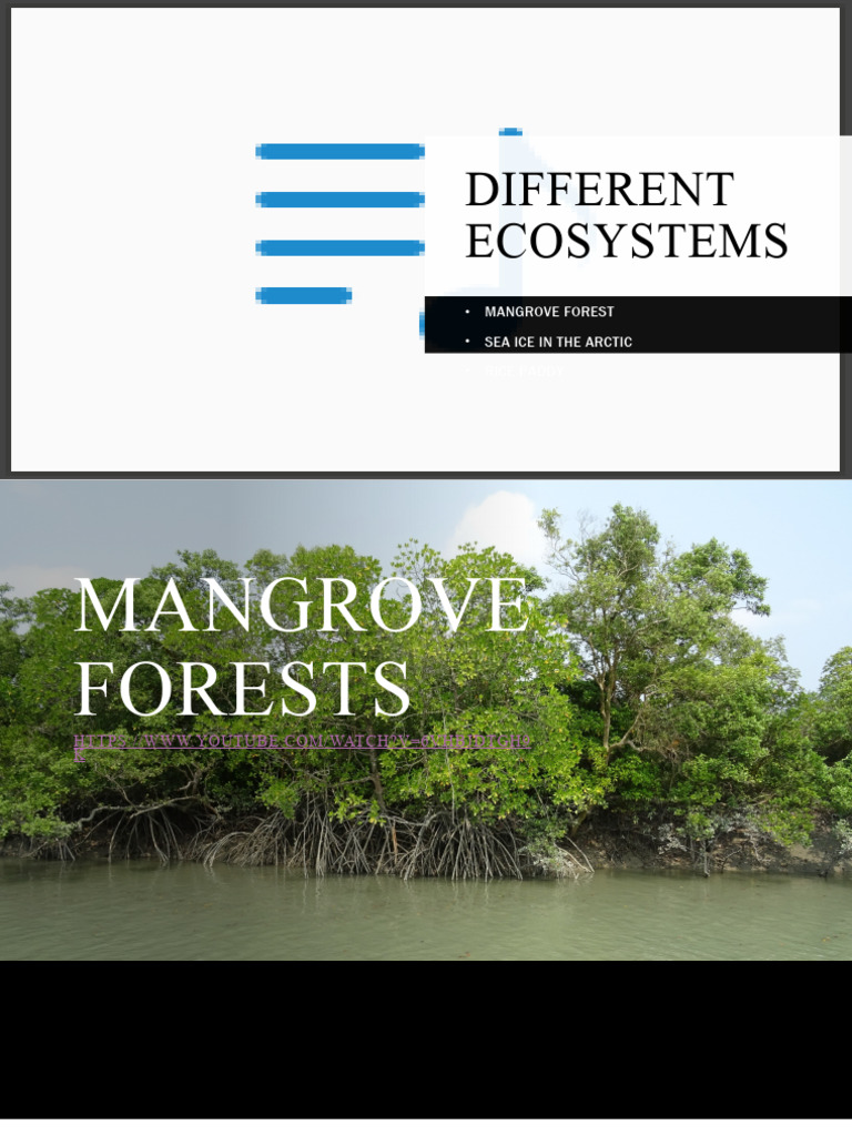 Ecosystems 2 | Download Free PDF | Mangrove | Sea Ice
