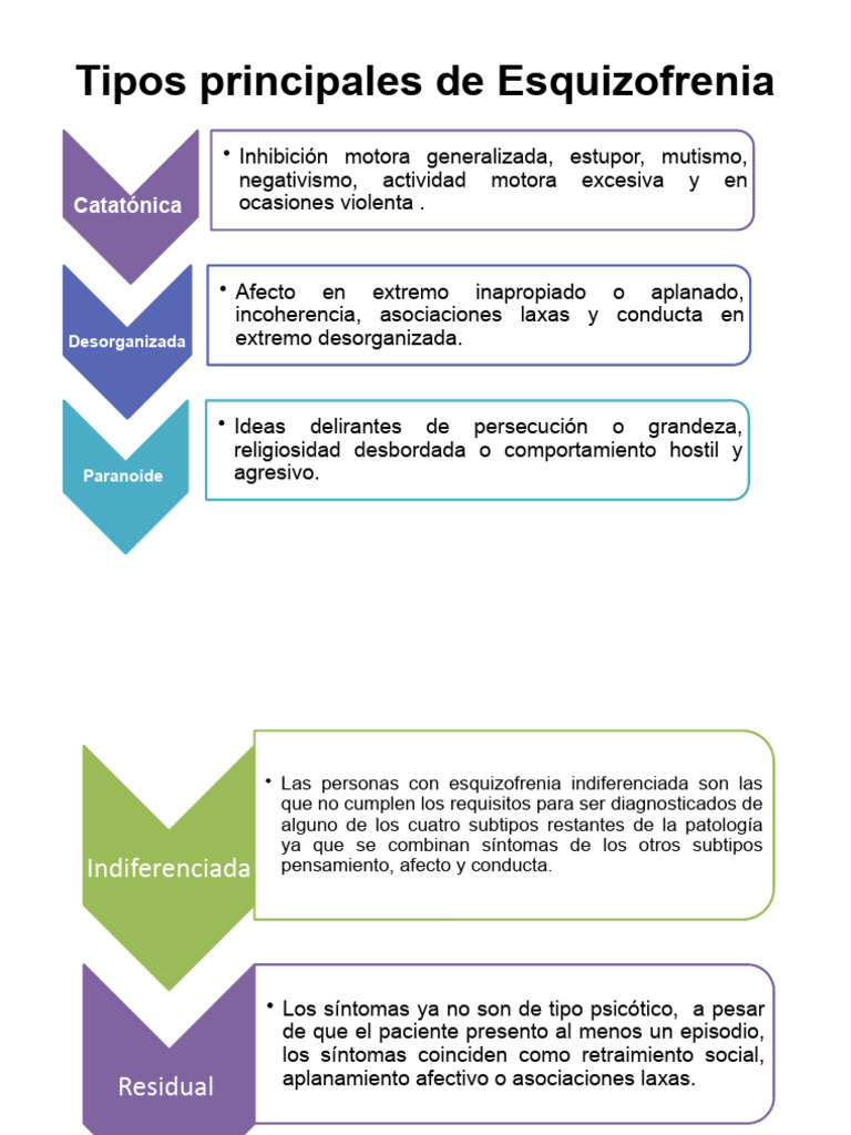 Tipos Principales de Esquizofrenia | PDF