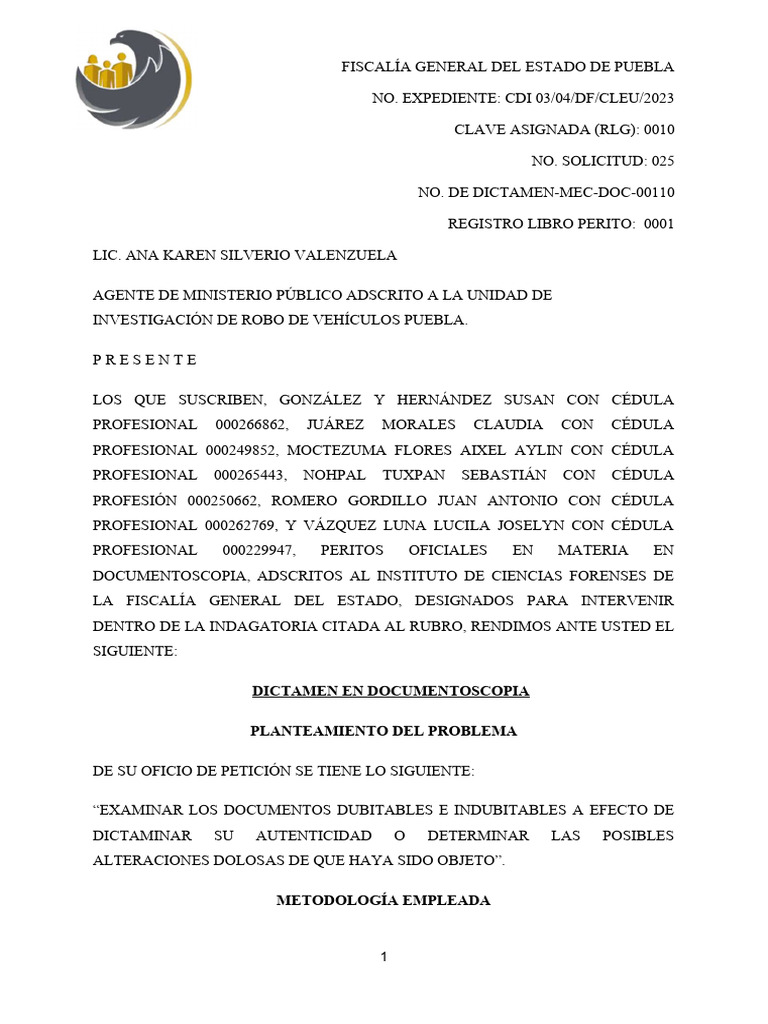 Dictamen Documentoscopia | PDF