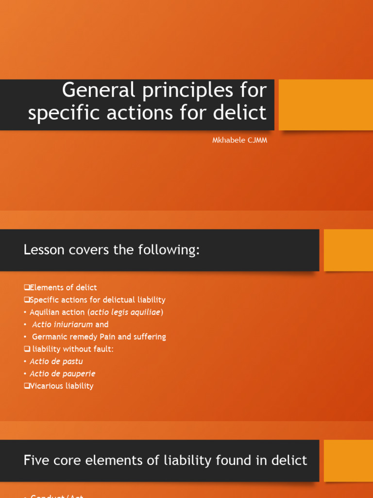 Delictual Liability Actions Guide | PDF | Common Law | Justice